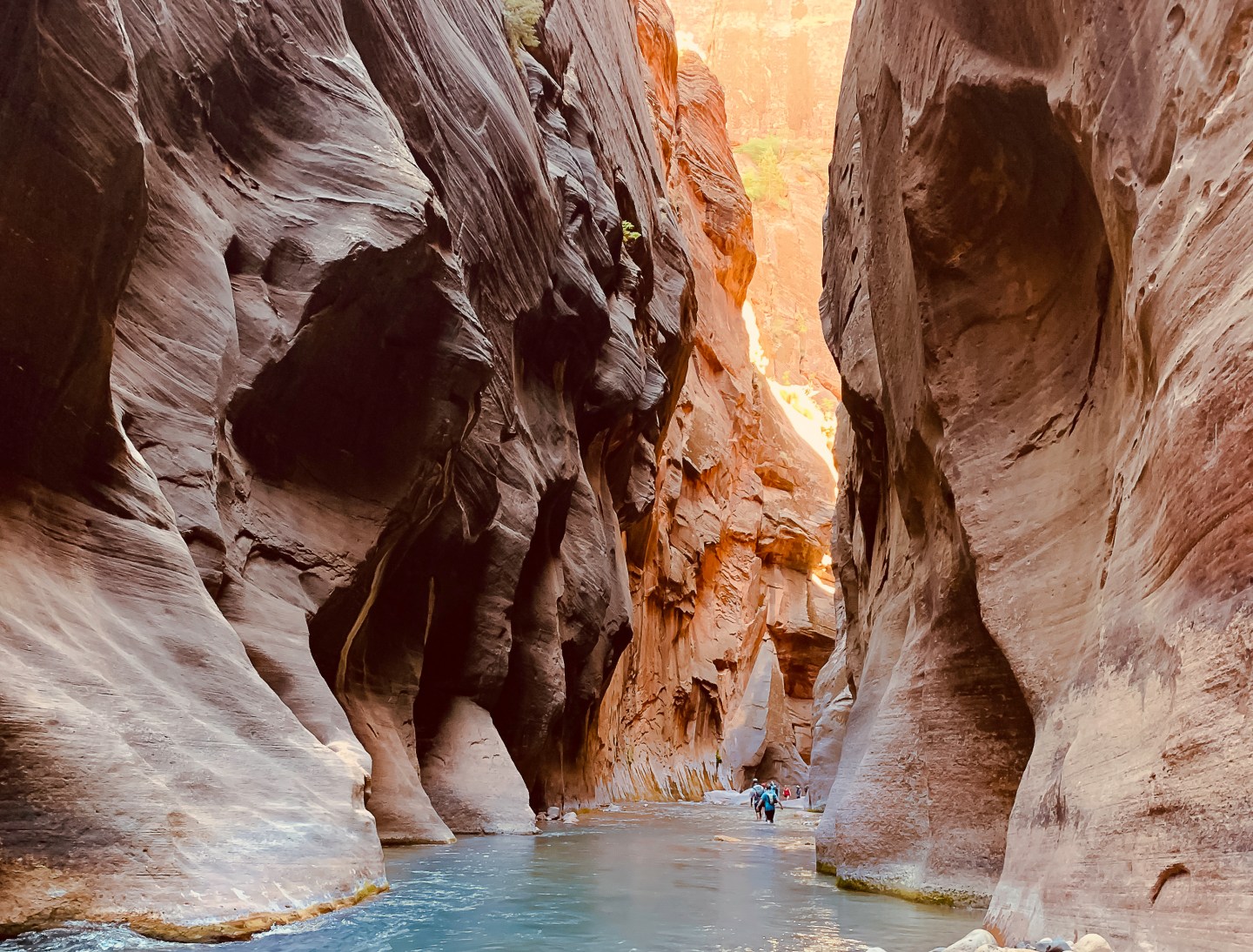 Navigating the Narrows – TYPE 1 TRAVELER